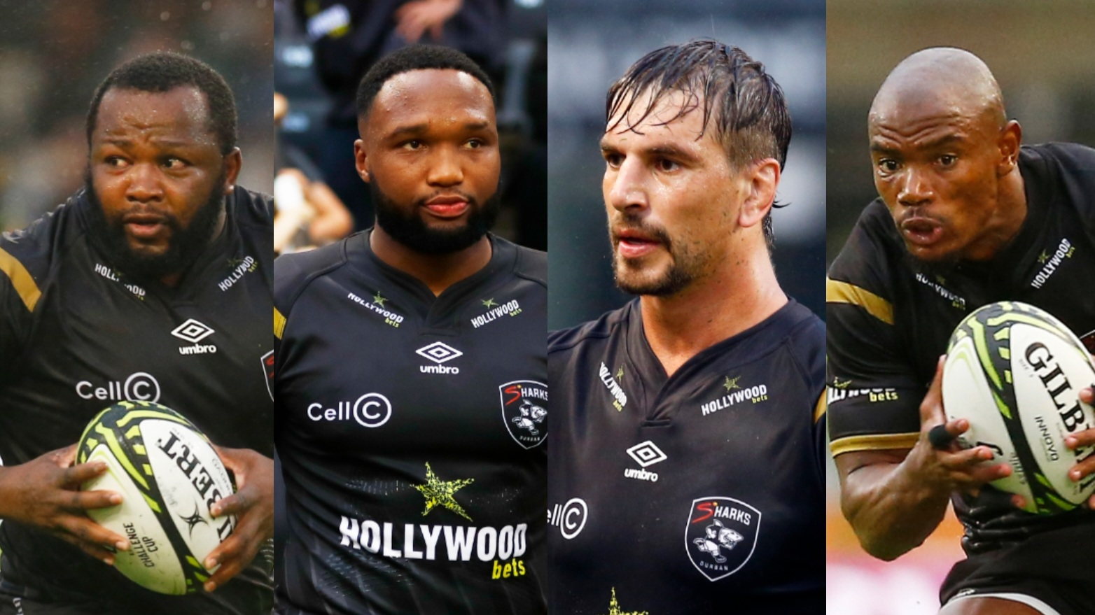 Sharks Rugby Team: A Deep Dive into South Africa’s Pride – FluentRugby